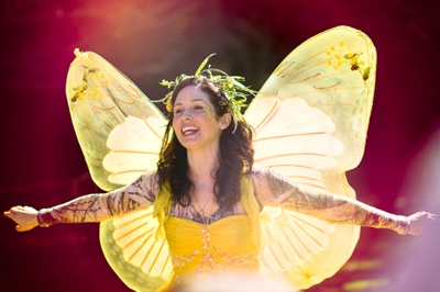 A Faery (Fairy) Hunt A Faery Hunt